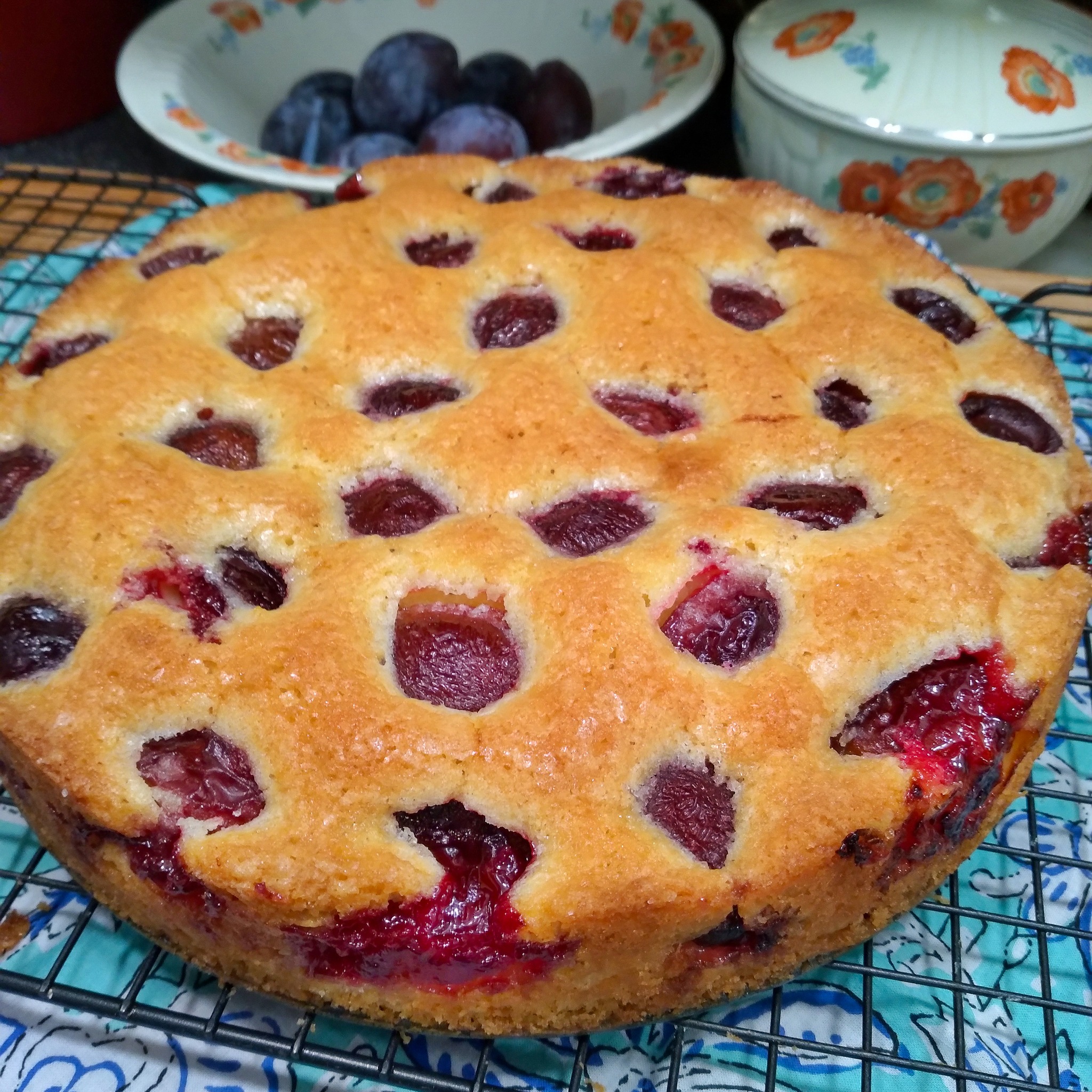 The Famous & Stupendously Easy Plum Torte - Catbird Life